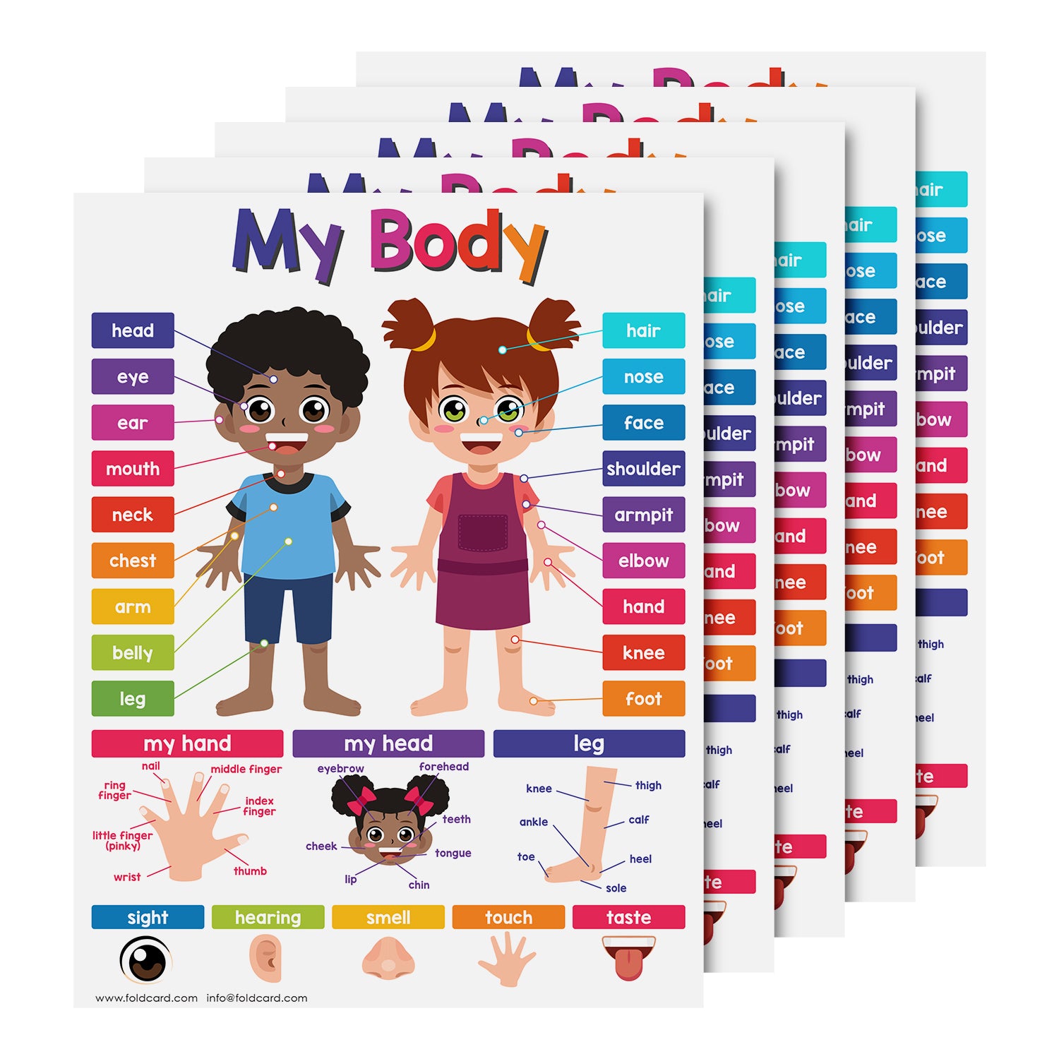My Body Chart for Kids | Colorful Educational Poster | 5-Pack